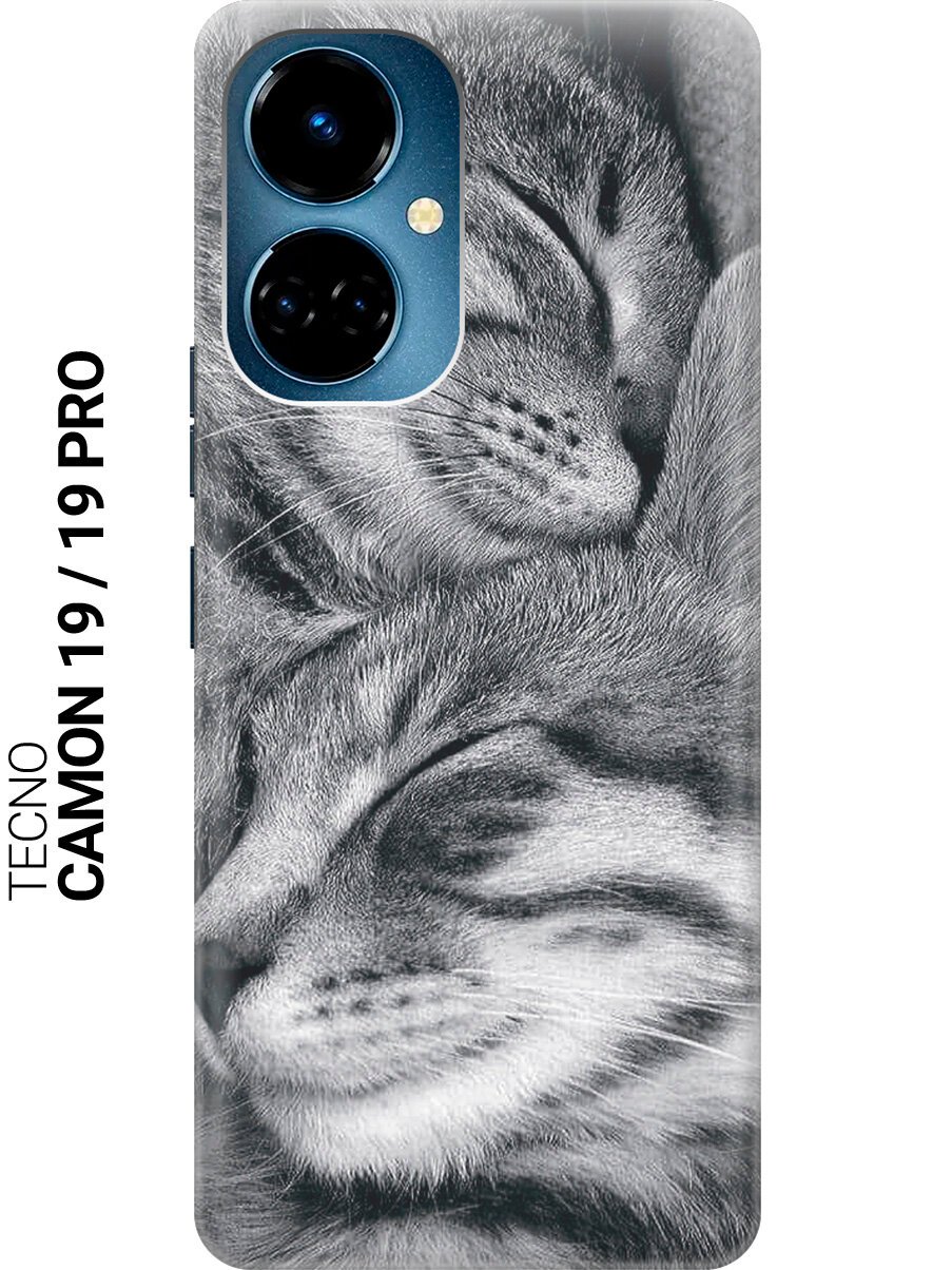 Силиконовый чехол на Tecno Camon 19 / 19 Pro / Техно Камон 19 / 19 Про с рисунком "Милующиеся котики"