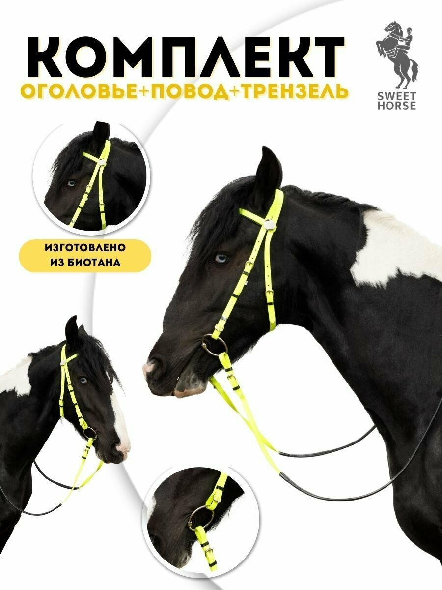 Sweethorse / Комплект - Оголовье + повод + трензель , желтый