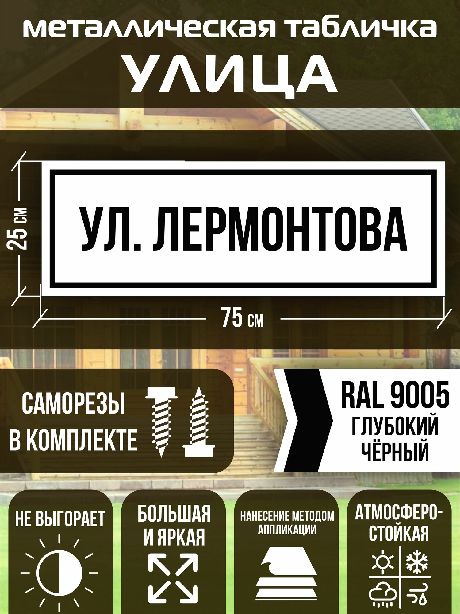 Адресная табличка на дом улица Лермонтова RAL 9005 черная