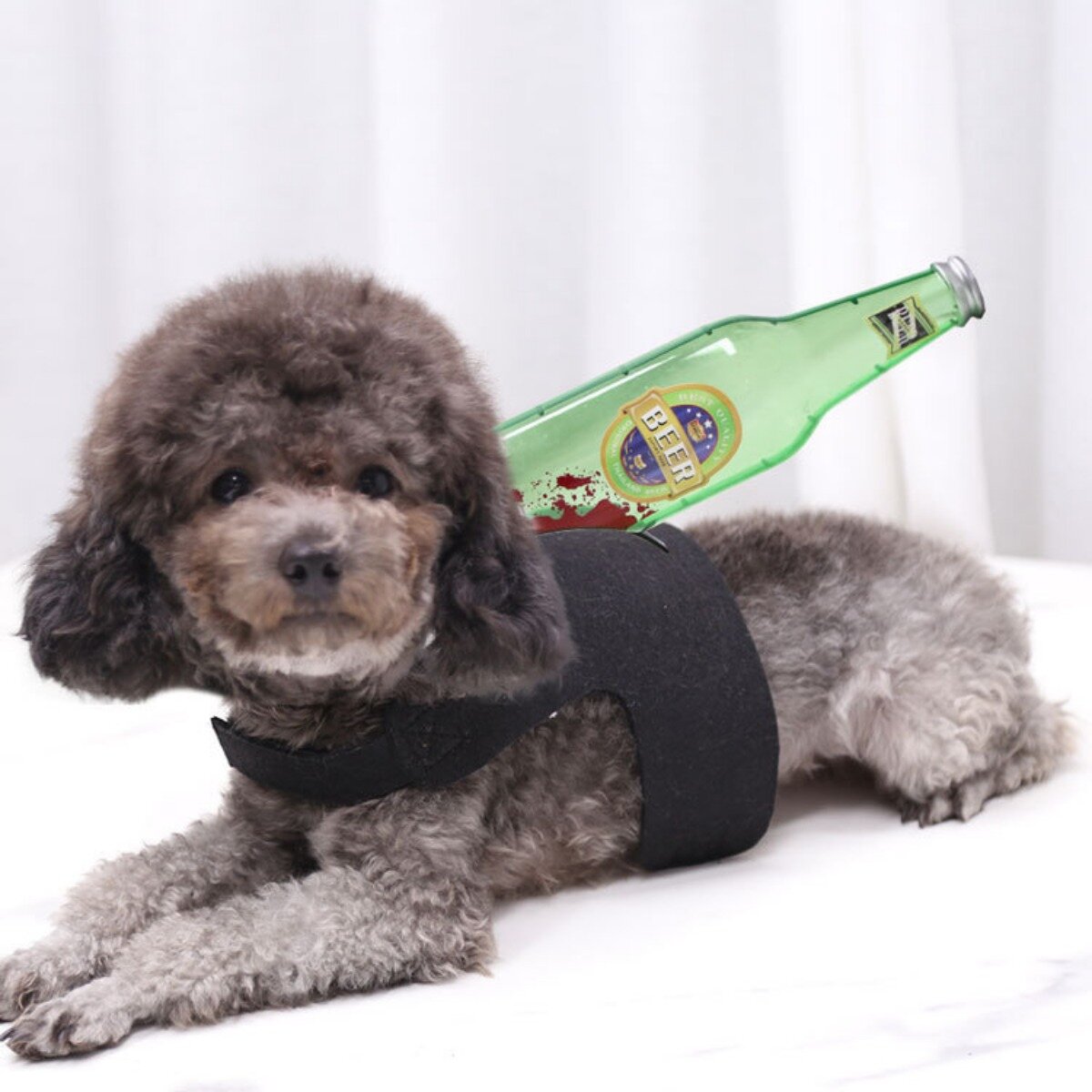 Странные Pet Собака Собака Кошка Одежда Декоративные Pet Одежда Pet Игрушки