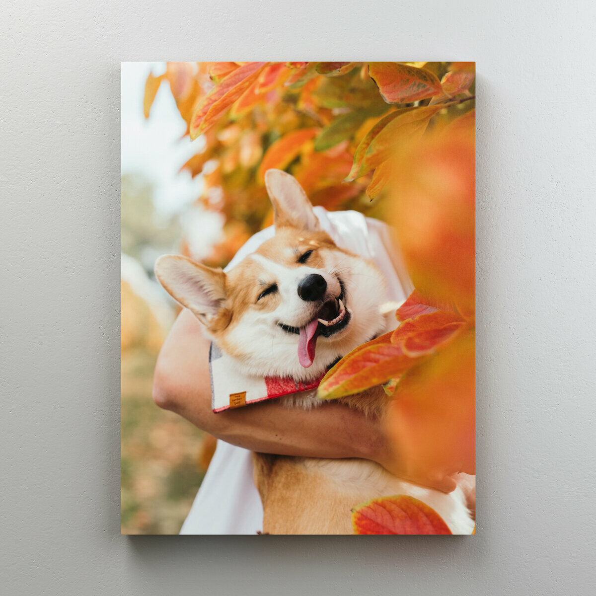 Интерьерная картина на холсте "Счастливый корги" собаки, размер 22x30 см