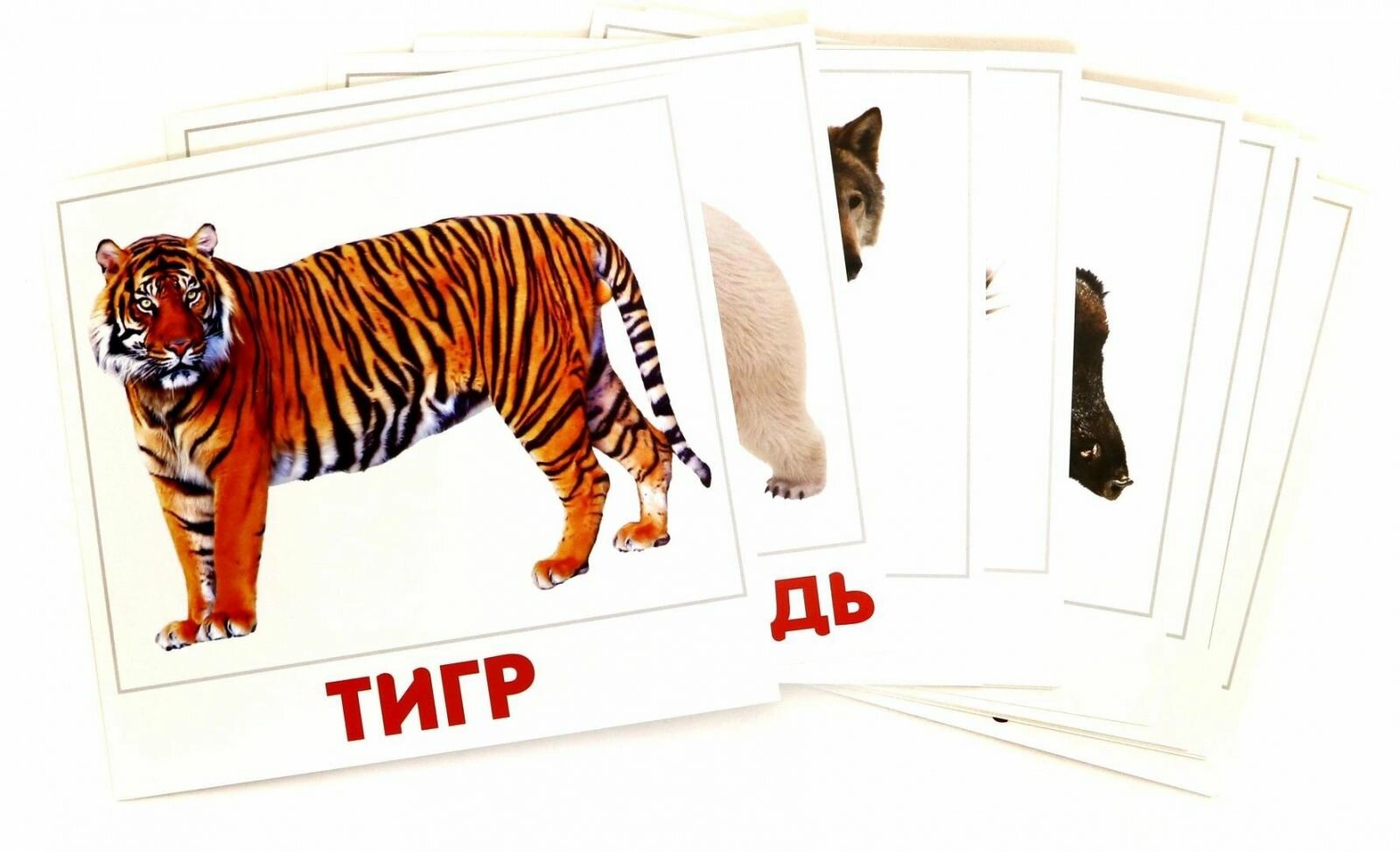 Развивающие карточки АгаБум Дикие животные. 20 шт. Г. Доман