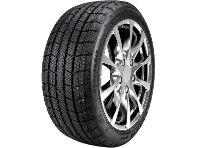 Centara Winter RX621 245/45 R18 T96