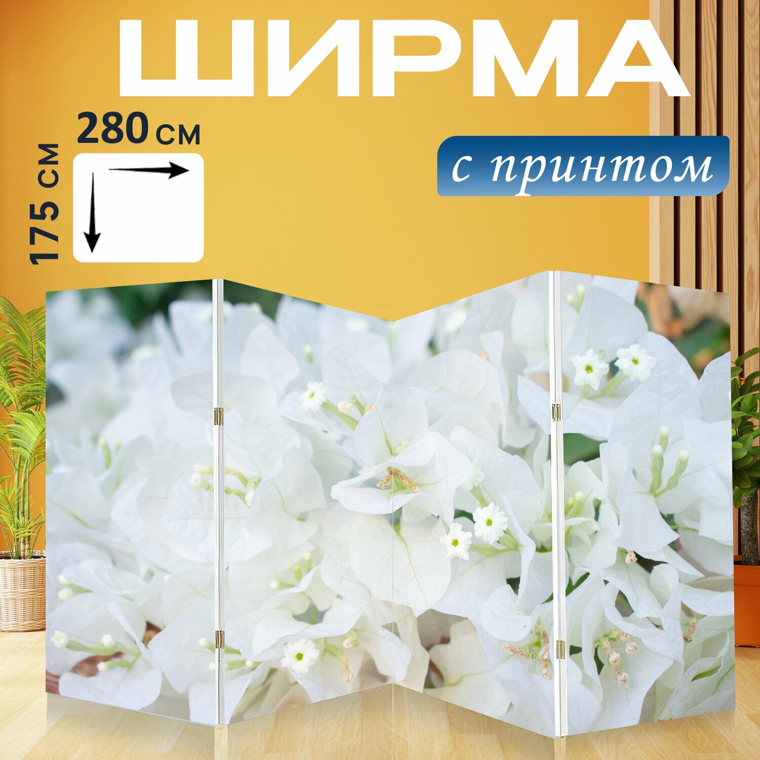 Ширма "Белые цветы, весна, белый" перегородка для зонирования комнаты с принтом 280x175 см. на холсте