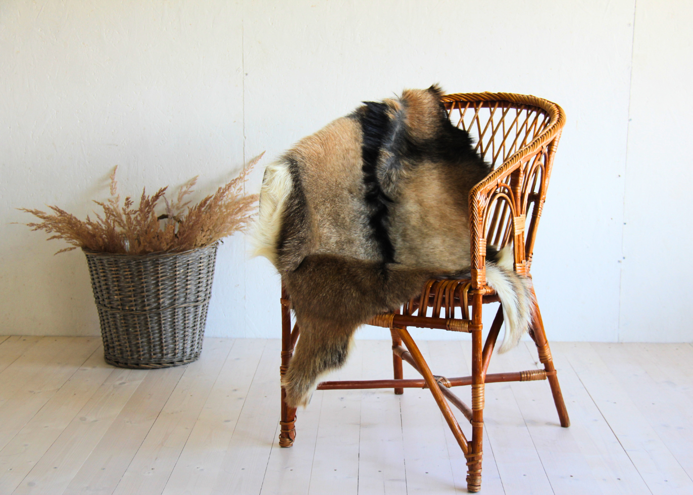 Шкура ангорской козы Shkura-Dekor рыжая