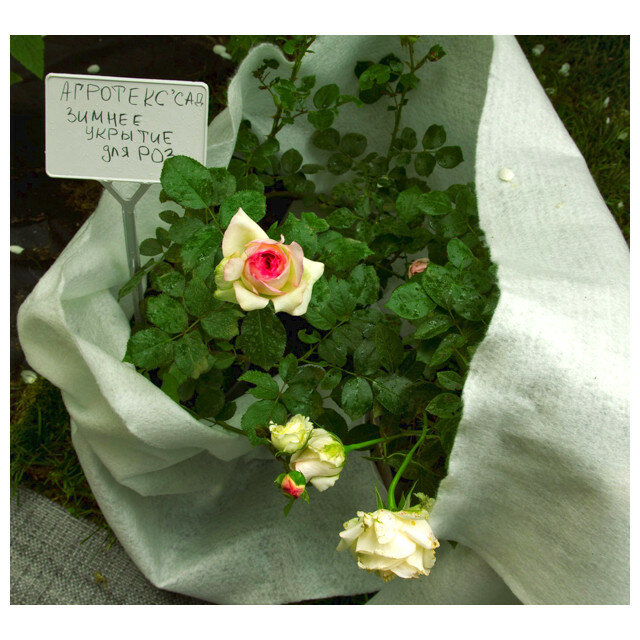 Укрытие зимнее для роз агротекс 2х2 м 200 г/м2 со стабилизацией УФ