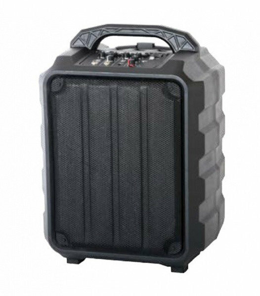 LEEM PR-6 акустическая система, портативная, с аккумулятором, 25Вт