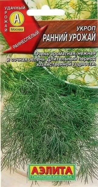 Укроп Ранний урожай (3 упаковки семян)