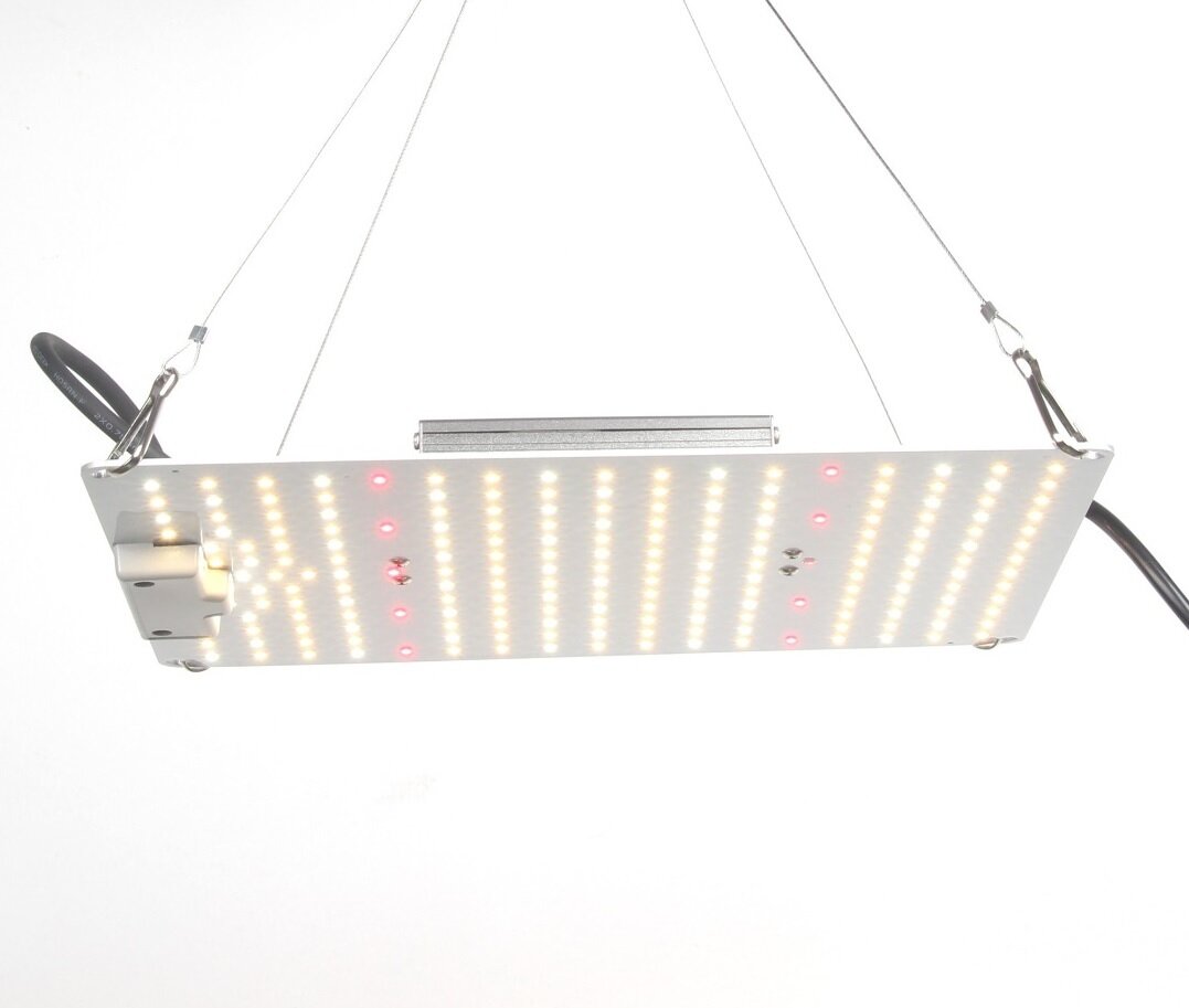 Quantum Board/Квантум борд для растений 100w (SMD)
