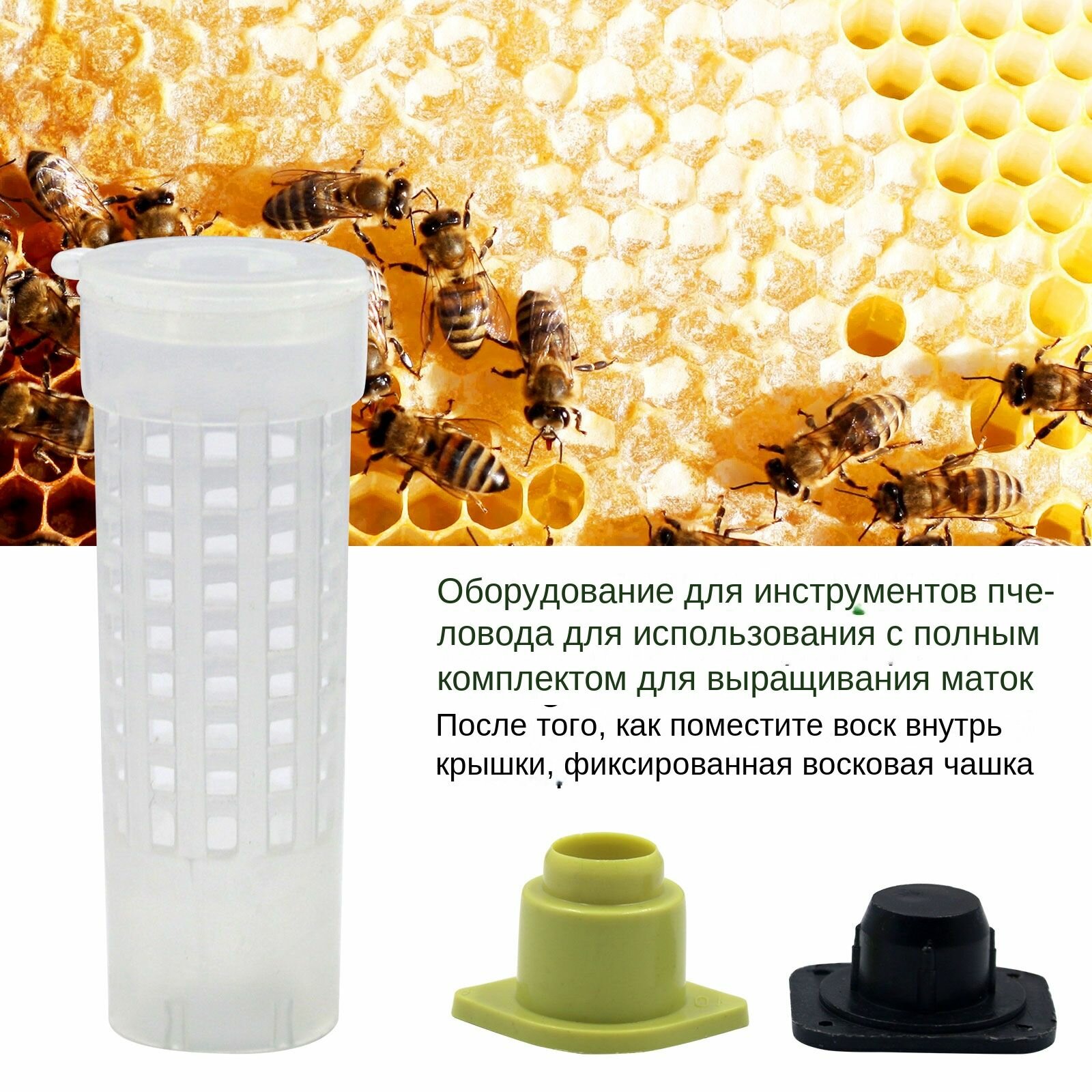 Набор для вывода пчеломаток 50 шт - изоляторы, цоколи и держатели мисочек для пчеловодства