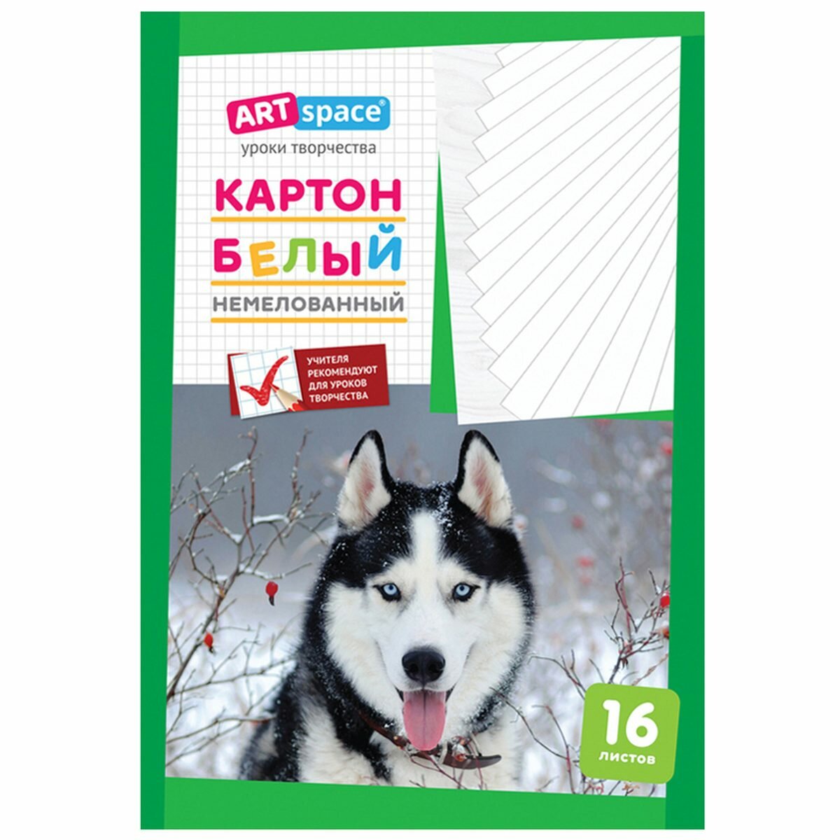 Картон белый немелованный ArtSpace (16 листов, А4) в папке (Нкн16б_6962)