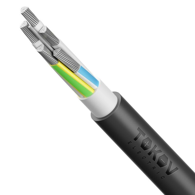 Кабель TOKOV ELECTRIC аввгнг(А)-LS 5х70 МС (N PE) 1кВ (м), TOKOV ELECTRIC КПП УТ000030803 (1 м.)