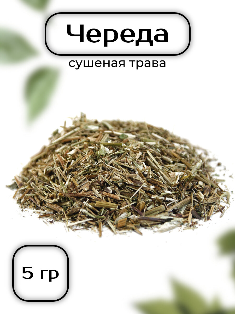 Череда сушеная трава - 5 гр