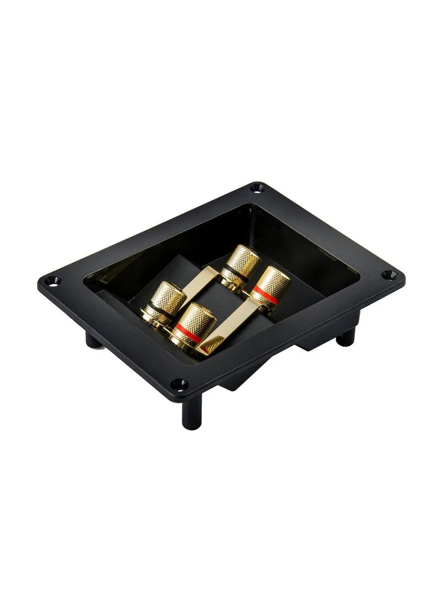 Терминал аудио AURA