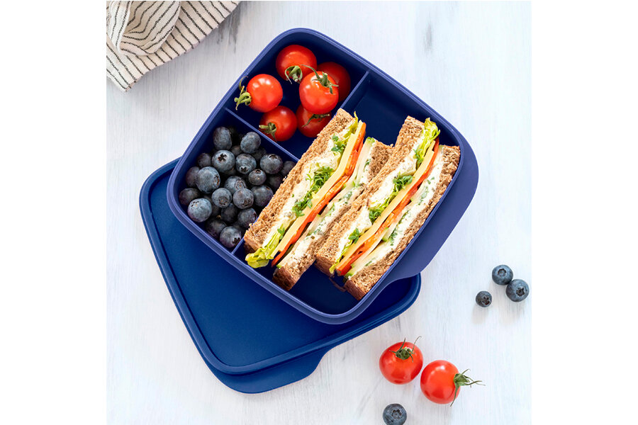 Контейнер Tupperware "Школьник", пластиковый, цвет синий, 550 мл