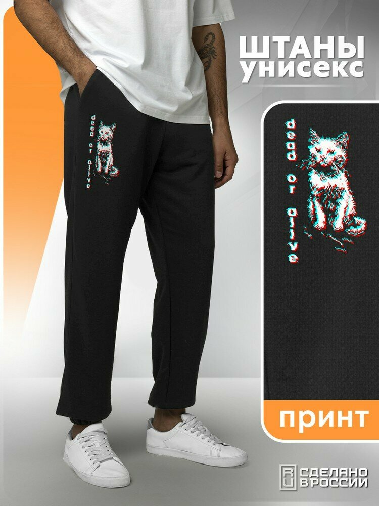 Брюки джоггеры Бруталити