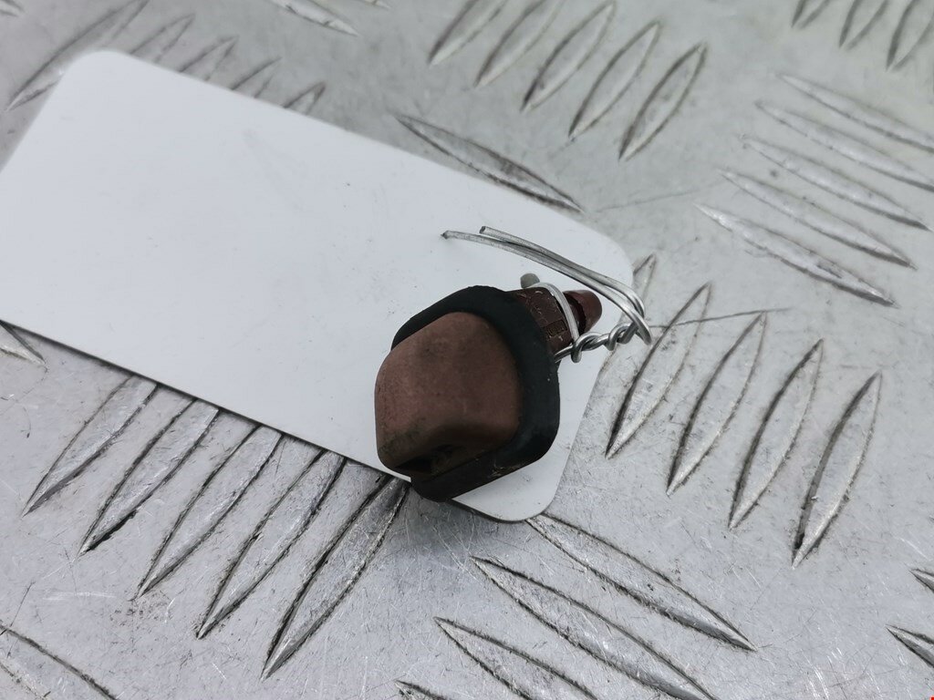 Форсунка омывателя заднего стекла Ford Focus 1 арт. 2170202