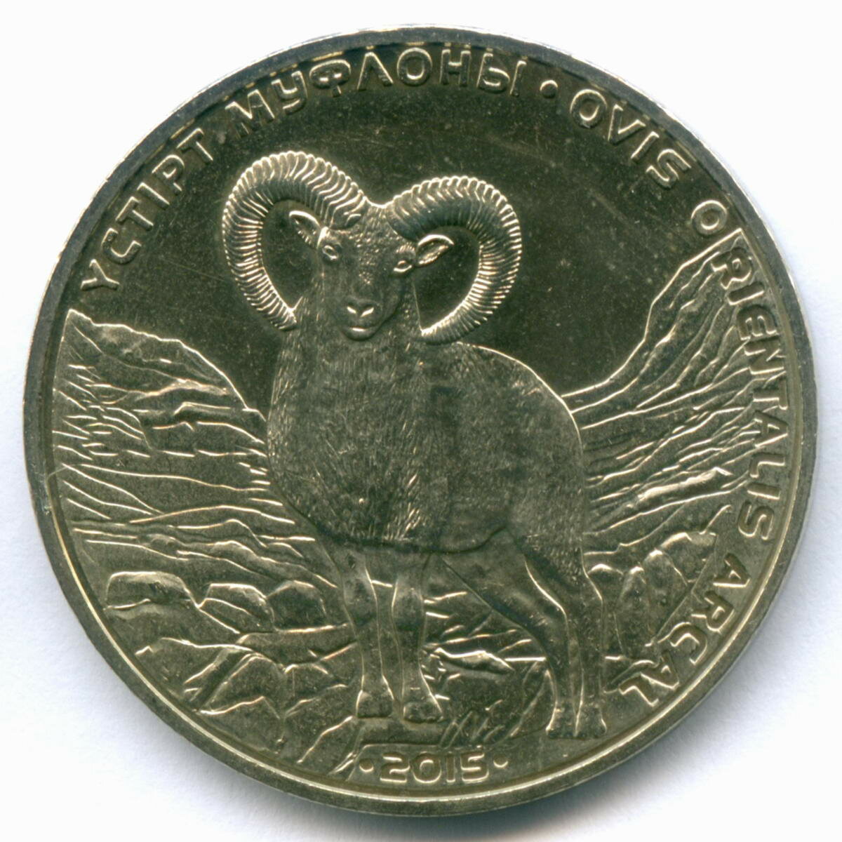 50 тенге 2015 год. Казахстан. Красная книга - Устюртский муфлон. AUNC