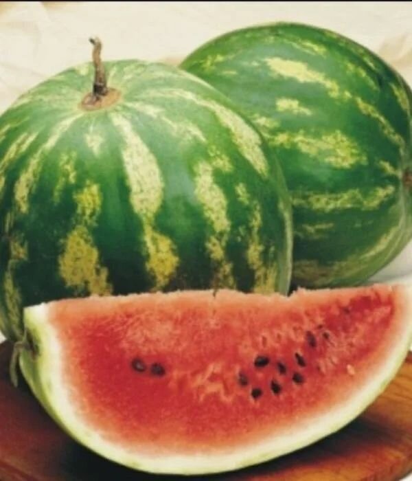 Семена Арбуза "Скорик", 10 шт. семян