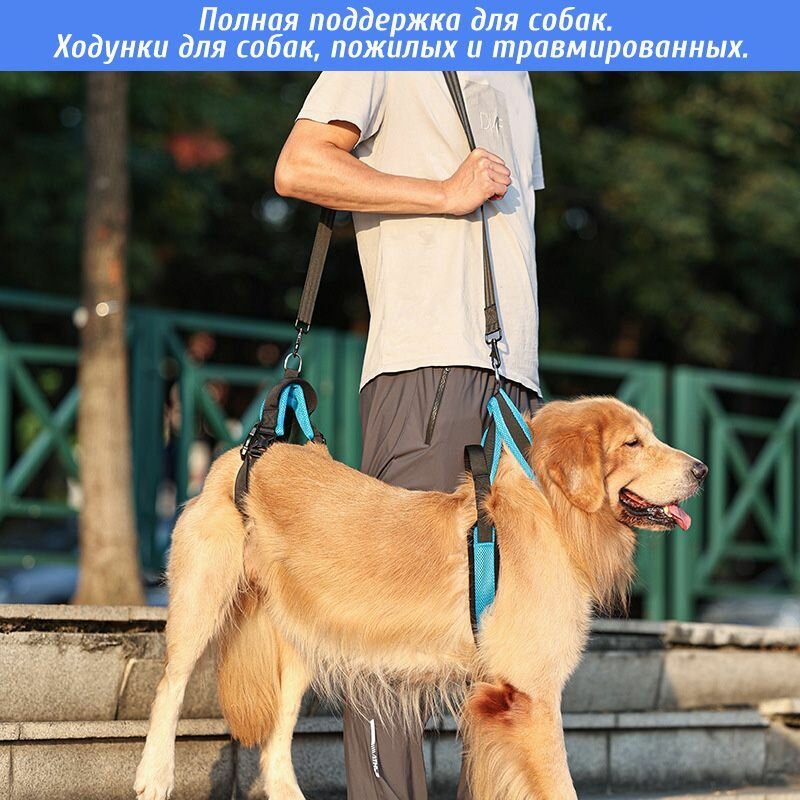 Полная поддержка для собак. Ходунки для собак, пожилых и травмированных.