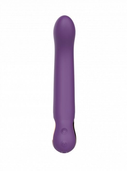 Силиконовый вибратор с ручкой кольцом Secwell, фиолетовый (22.5, Ø 3.3 см)