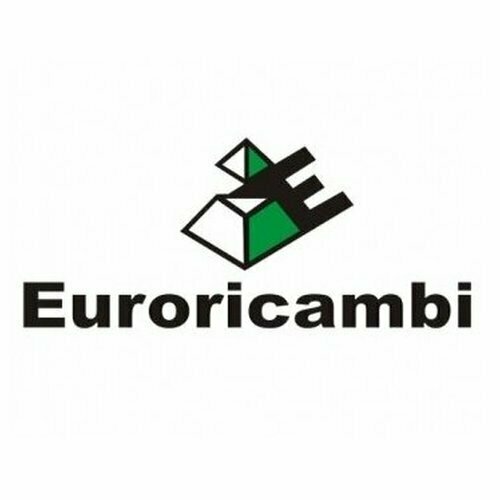 Фланец кпп Euroricambi 95533567