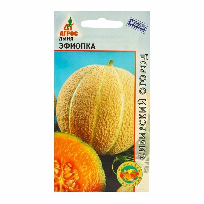Семена Дыня Эфиопка , 10 шт, Агрос