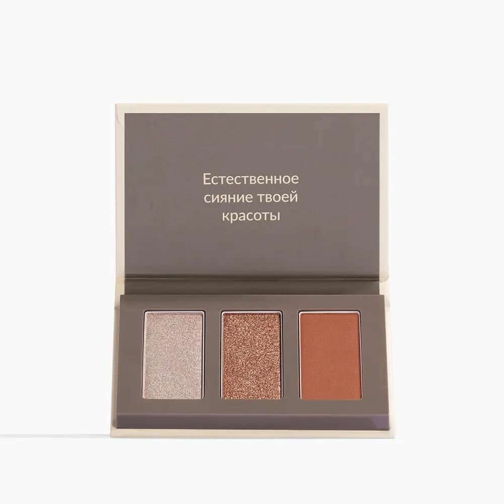 Палетка теней для век Pure Makeup.