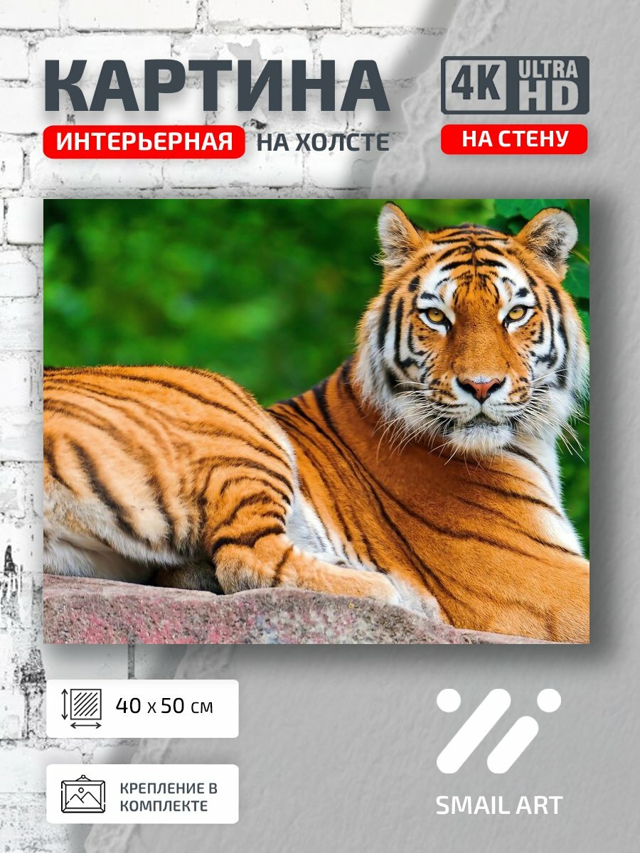 Картина на холсте интерьерная 40 на 50 на стену Тигр tiger для кабинета animal style декор