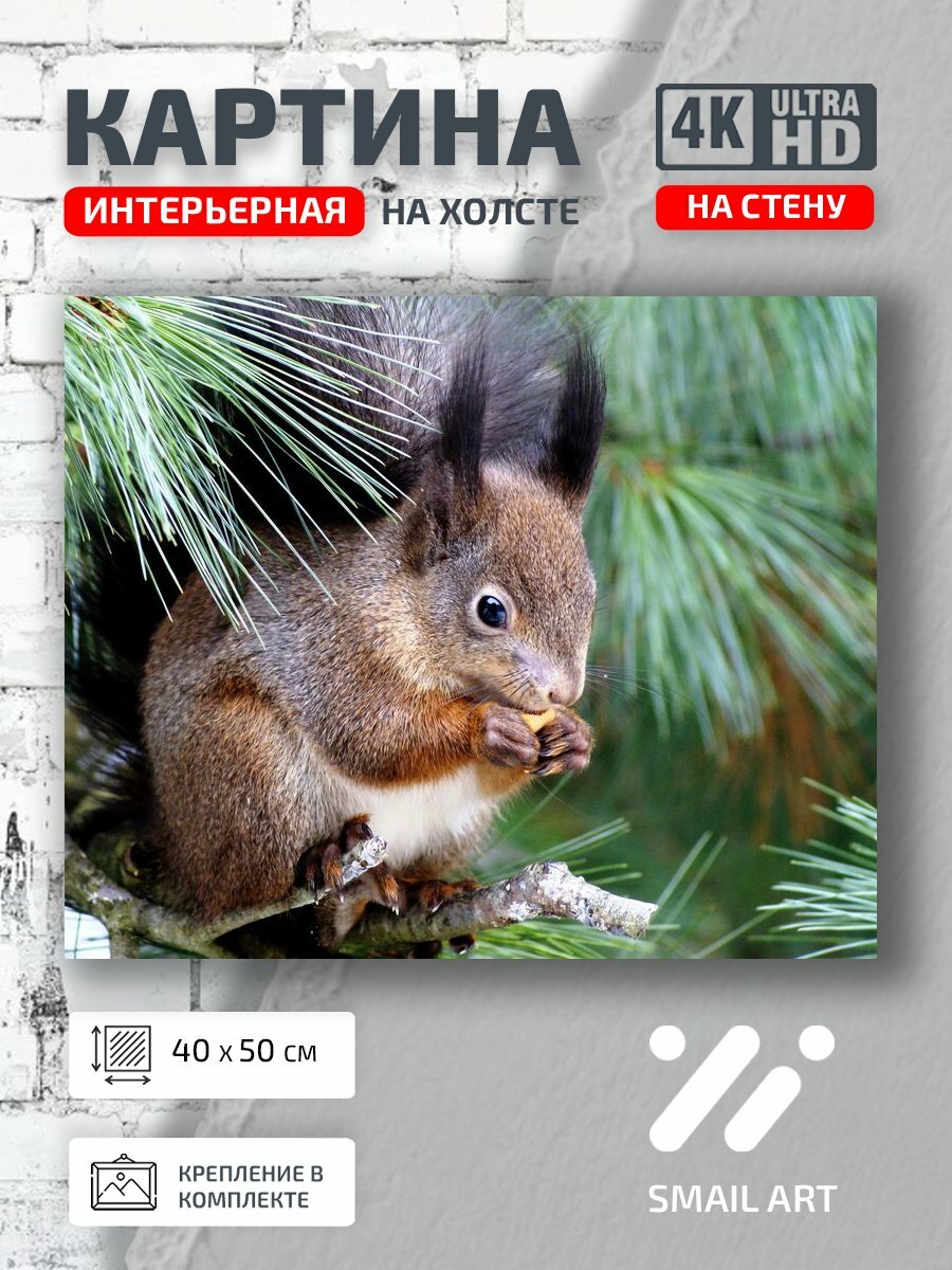 Картина на холсте интерьерная 40 на 50 на стену Белка Landscape для офиса пейзаж интерьер