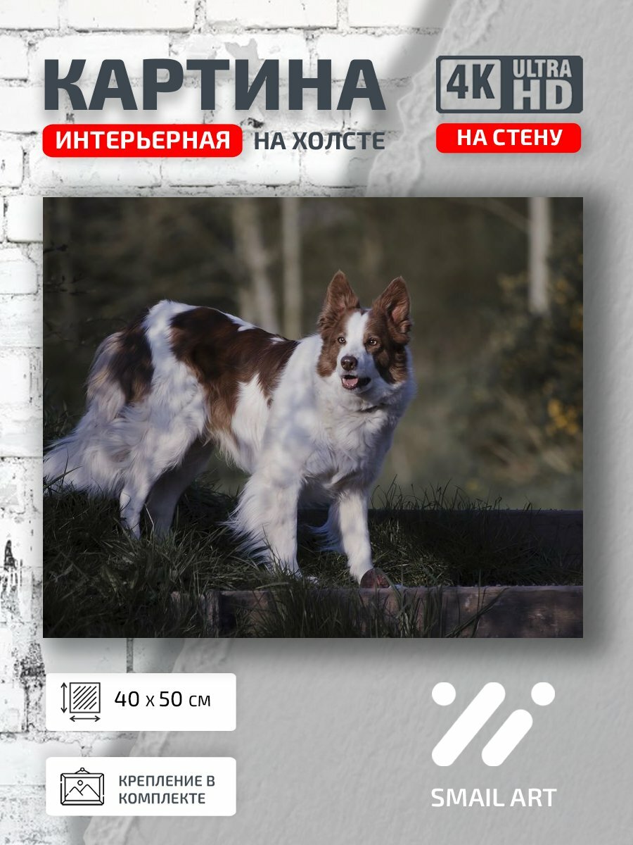 Картина на холсте интерьерная 40 на 50 на стену Кусты Mood для гостиной атмосфера интерьер