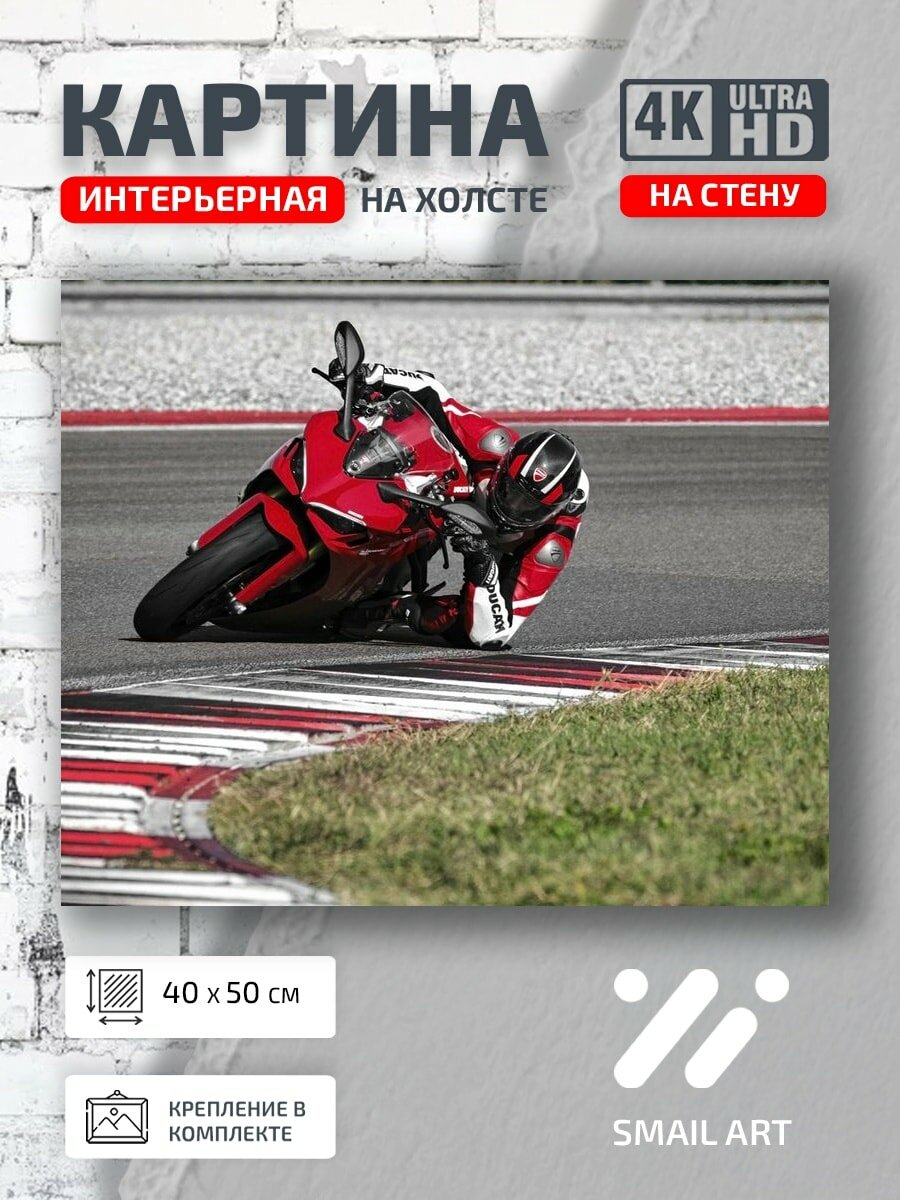 Картина на холсте интерьерная 40 на 50 на стену 950 S для кабинета animal style