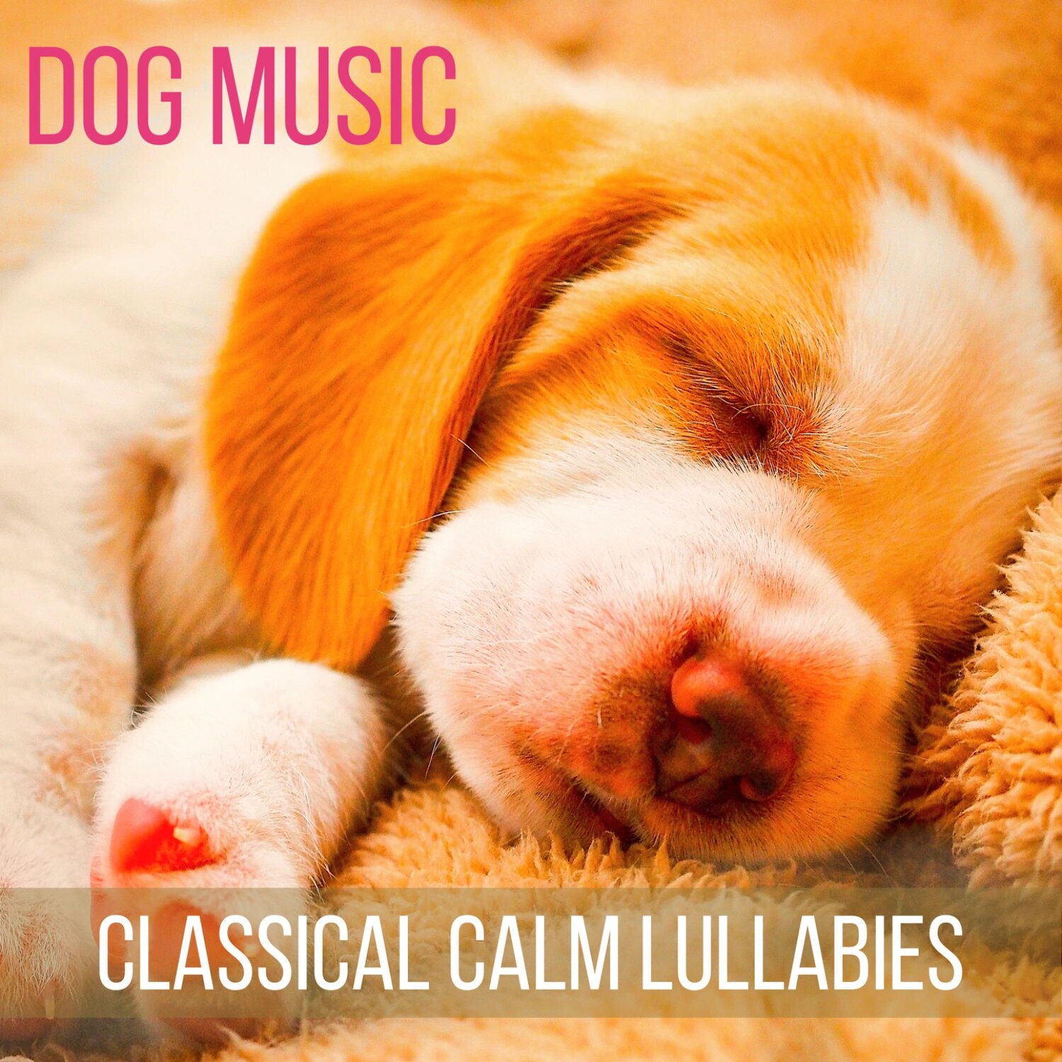 Dog Music (Classical Calm Lullabies for Your Pets) [Аудиокнига]