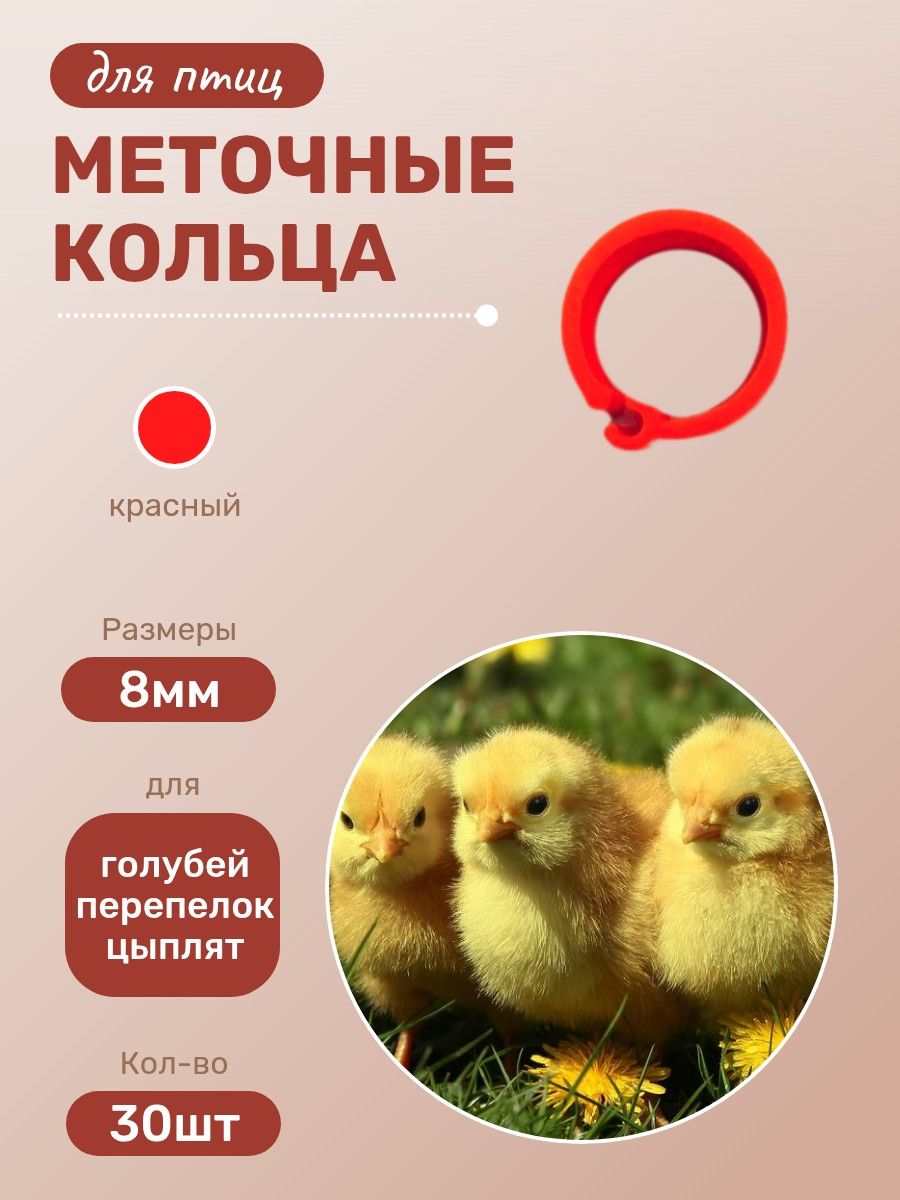 Меточные кольца для цыплят, перепелок, голубей 8мм, 30шт, красный