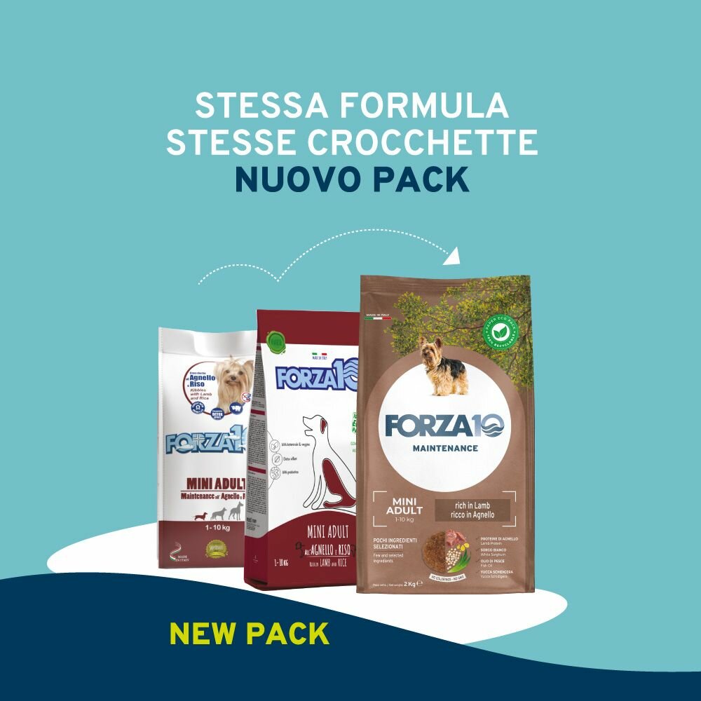 Корм сухой для собак FORZA10 Maintenance Lamb & Rice Medium из ягненка с рисом, для взрослых собак средних пород, 2 кг