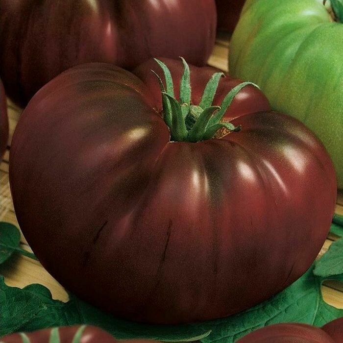 Семена Томат Черные глаза 20 шт.