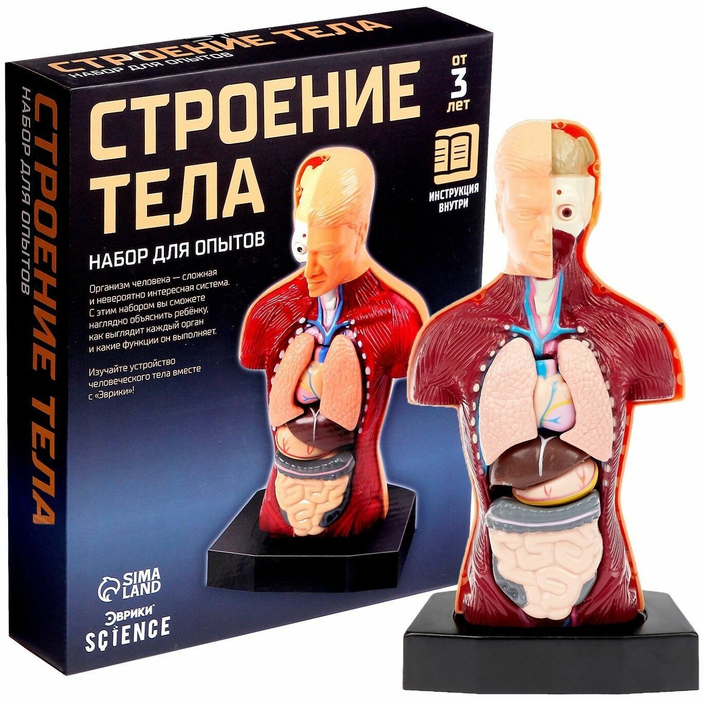 Анатомическая 3D модель "Строение тела", игровой набор для опытов, изучаем строение организма человека