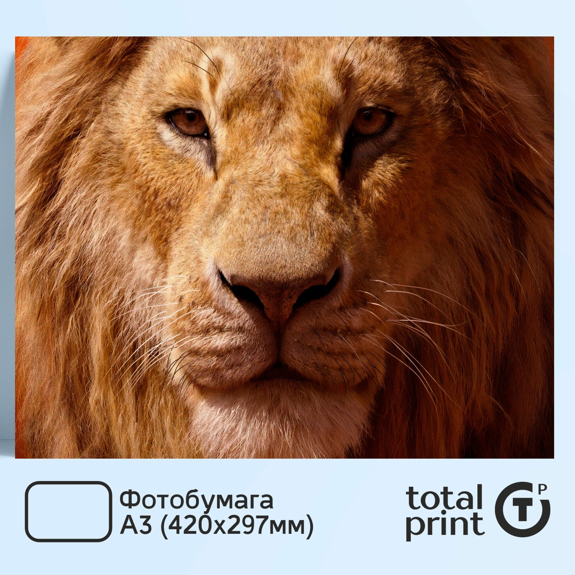 TotalPrint Постер для интерьера, Король Лев, А3(42х29,7см)