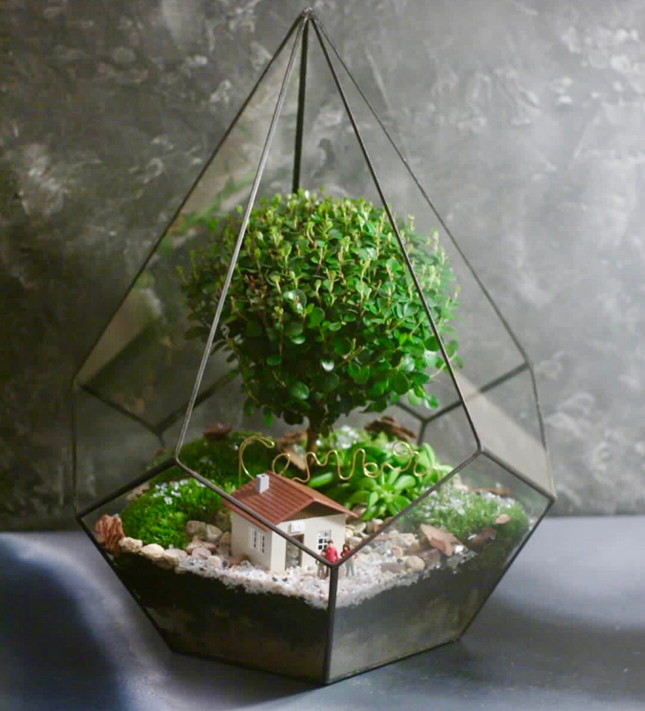 Флорариум «Семья» с деревцем Мирсина и тропическими растениями, готовый подарок для родных и близких King Florik