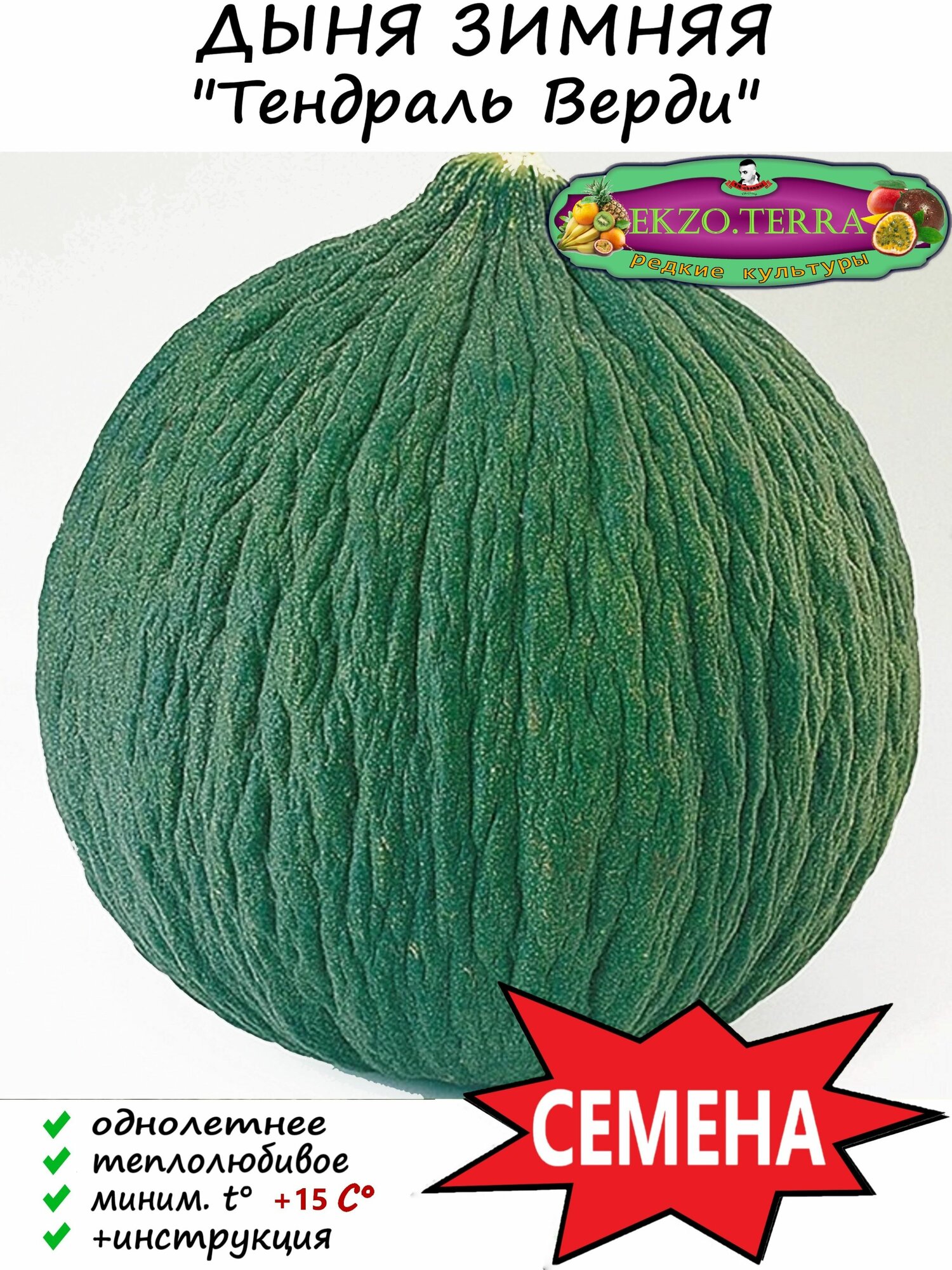 Семена Дыня Зимняя "Тендрал Верди" 7 шт.