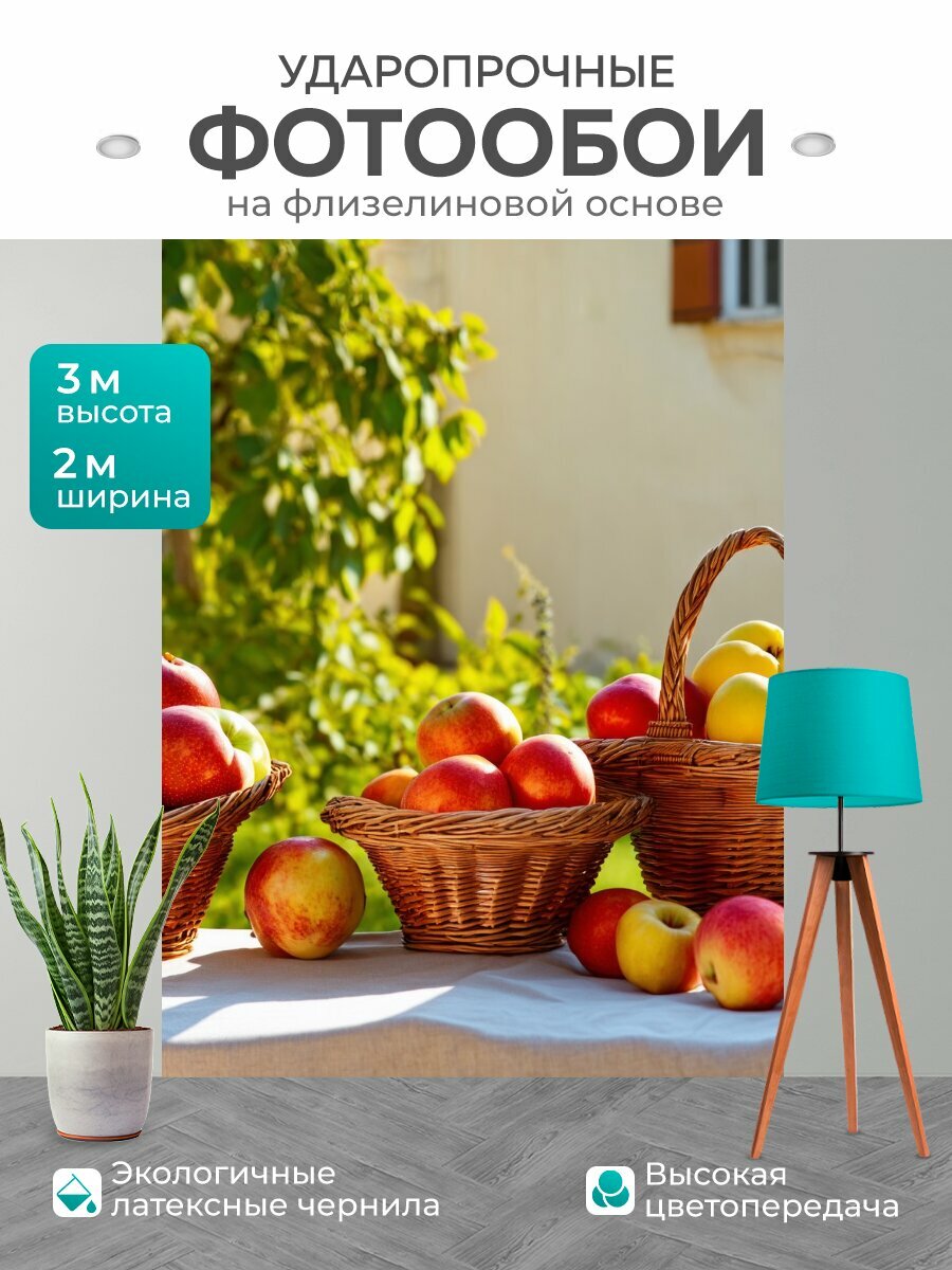 Фотообои моющиеся ударопрочные "Прованс, на которых изображены корзины с фруктами на фоне открытой террасы. свет солнца играет с элементами, создавая" 200x300 см. флизелиновые на стену