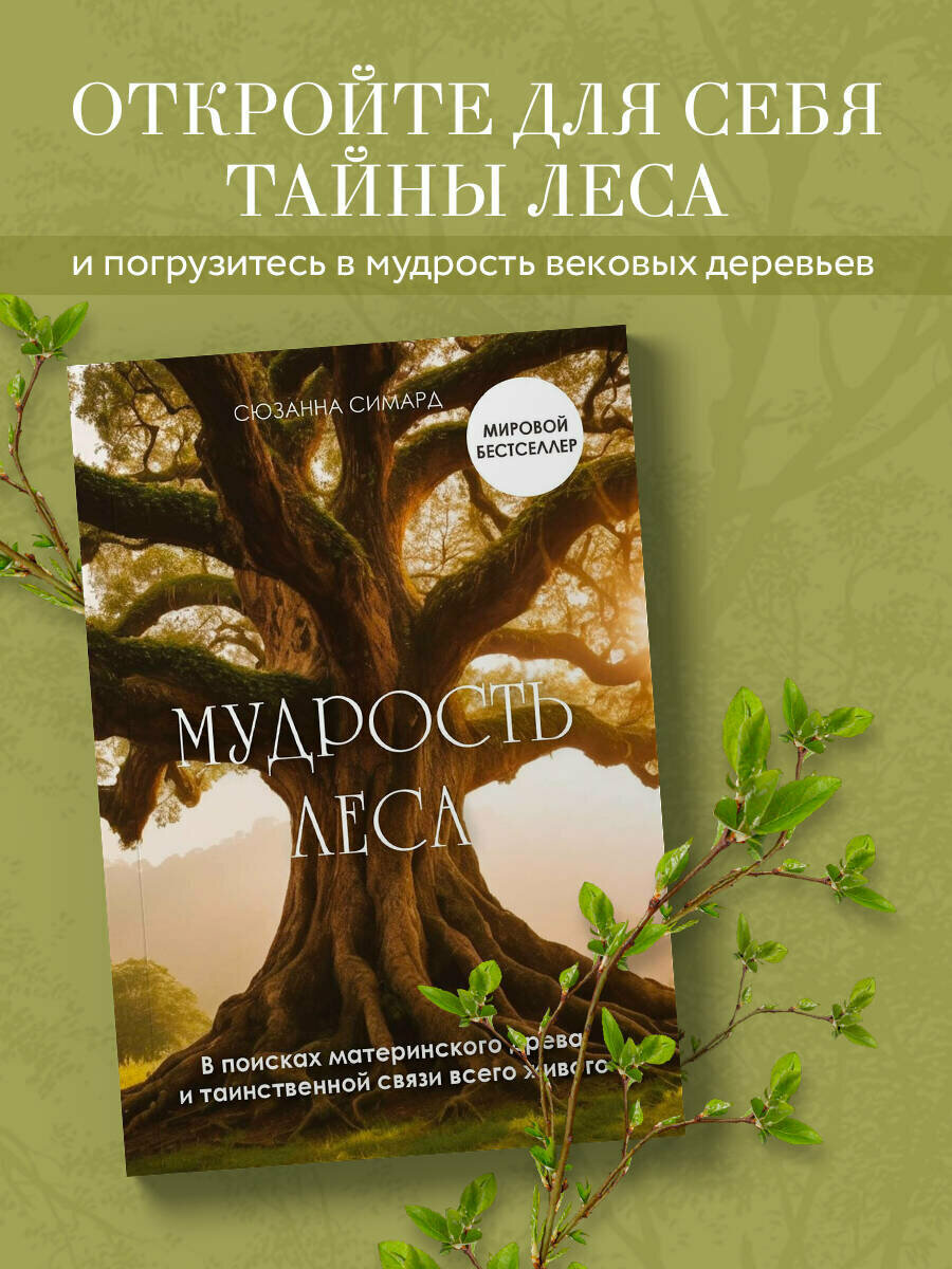 Симард С. Мудрость леса. В поисках материнского древа и таинственной связи всего живого