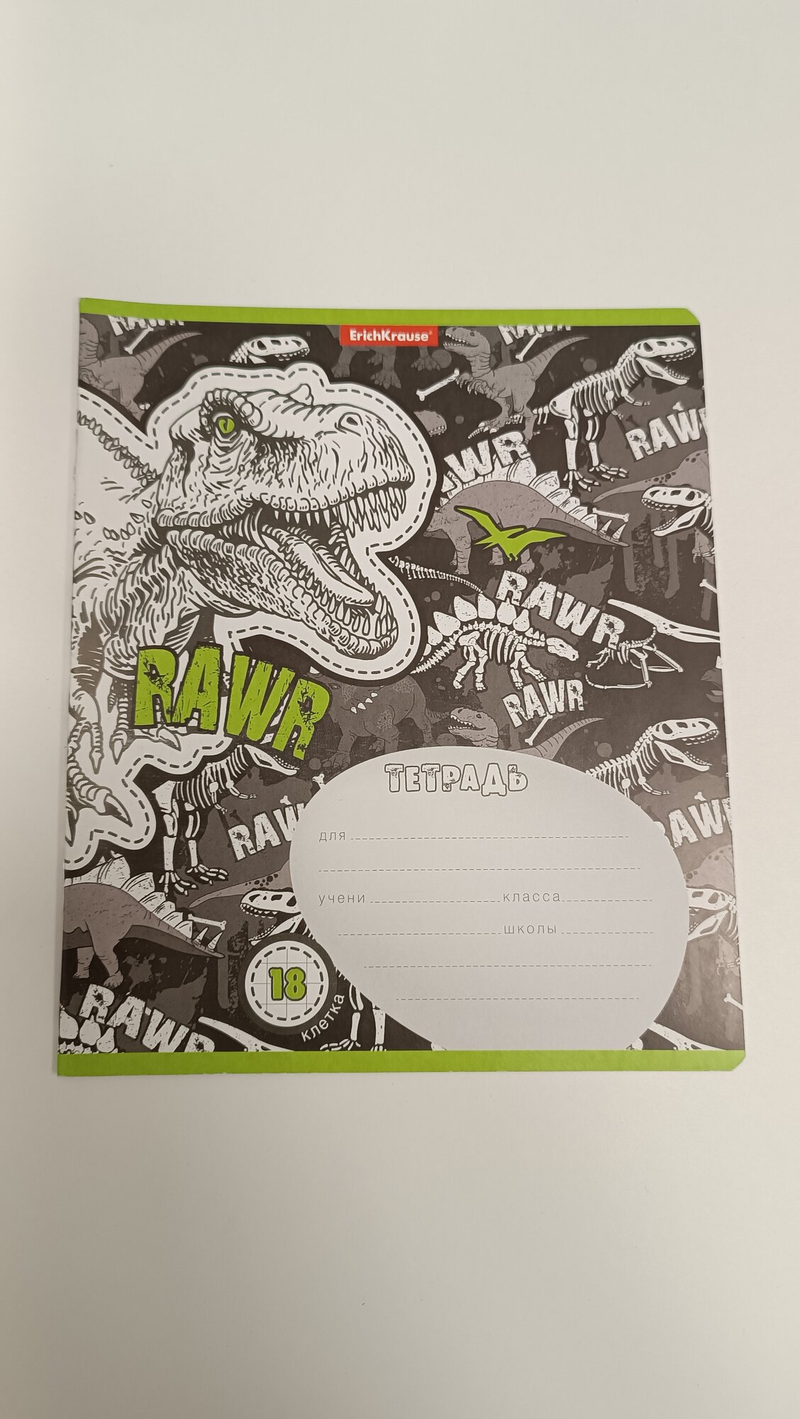 Тетрадь школьная Erich Krause Dinosaur Park, 18 л, клетка 52942
