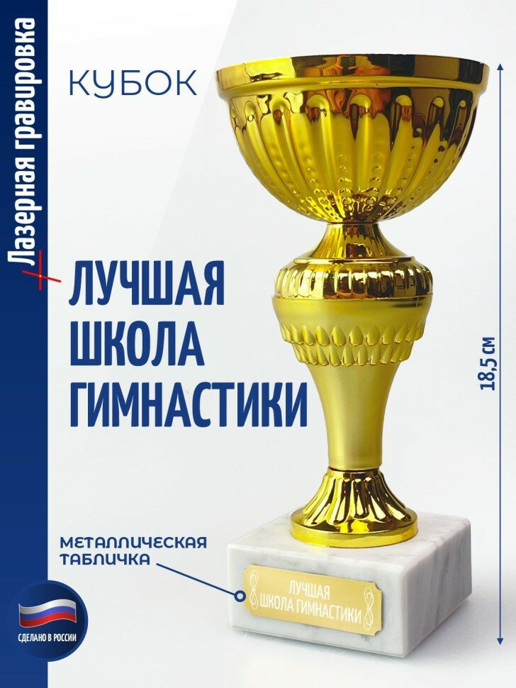 Кубок "Лучшая школа гимнастики" (18,4 см)