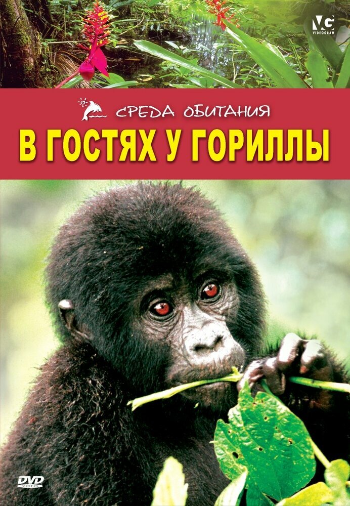 Фильм В гостях у гориллы. Региональная версия DVD-video (DVD-box)
