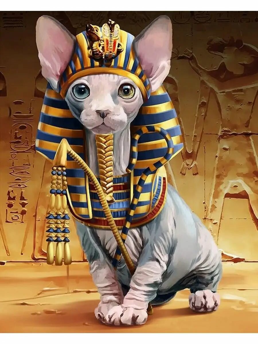 Алмазная мозаика на подрамнике 40х50 полная выкладка Котенок сфинкс-фараон