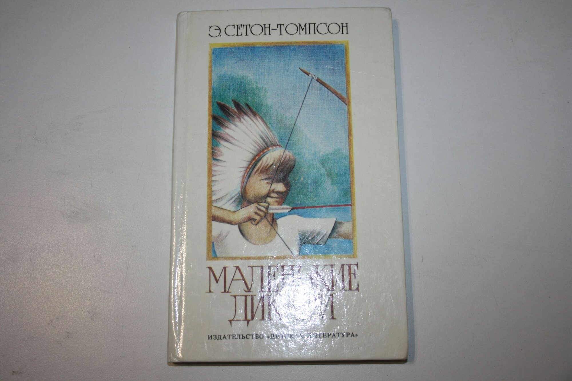 Маленькие дикари, или Повесть о том, как два мальчика вели в лесу жизнь индейцев и чему они научились