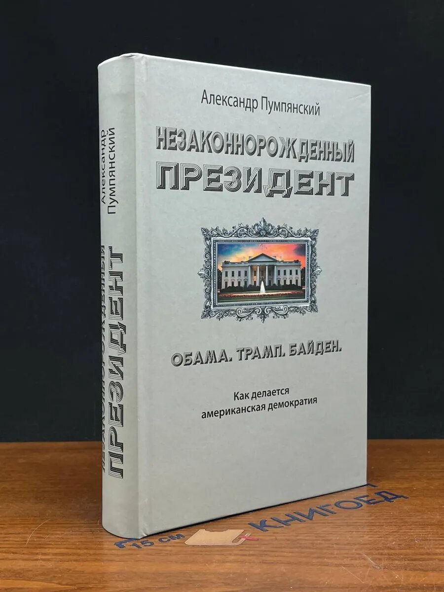 Книга. Незаконнорожденный президент 2022 (2041196853924)