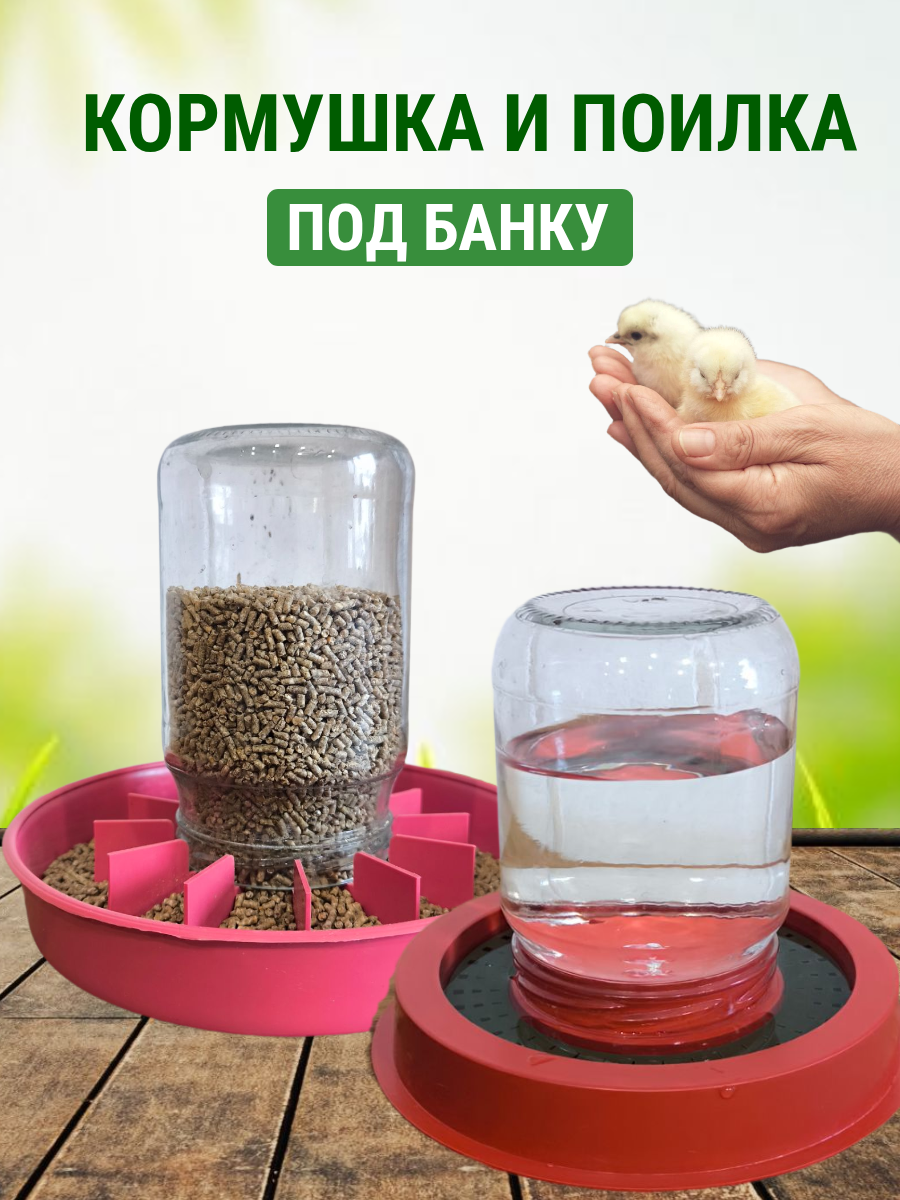 Поилка и кормушка для цыплят, перепелов, кур под банку до 3 л