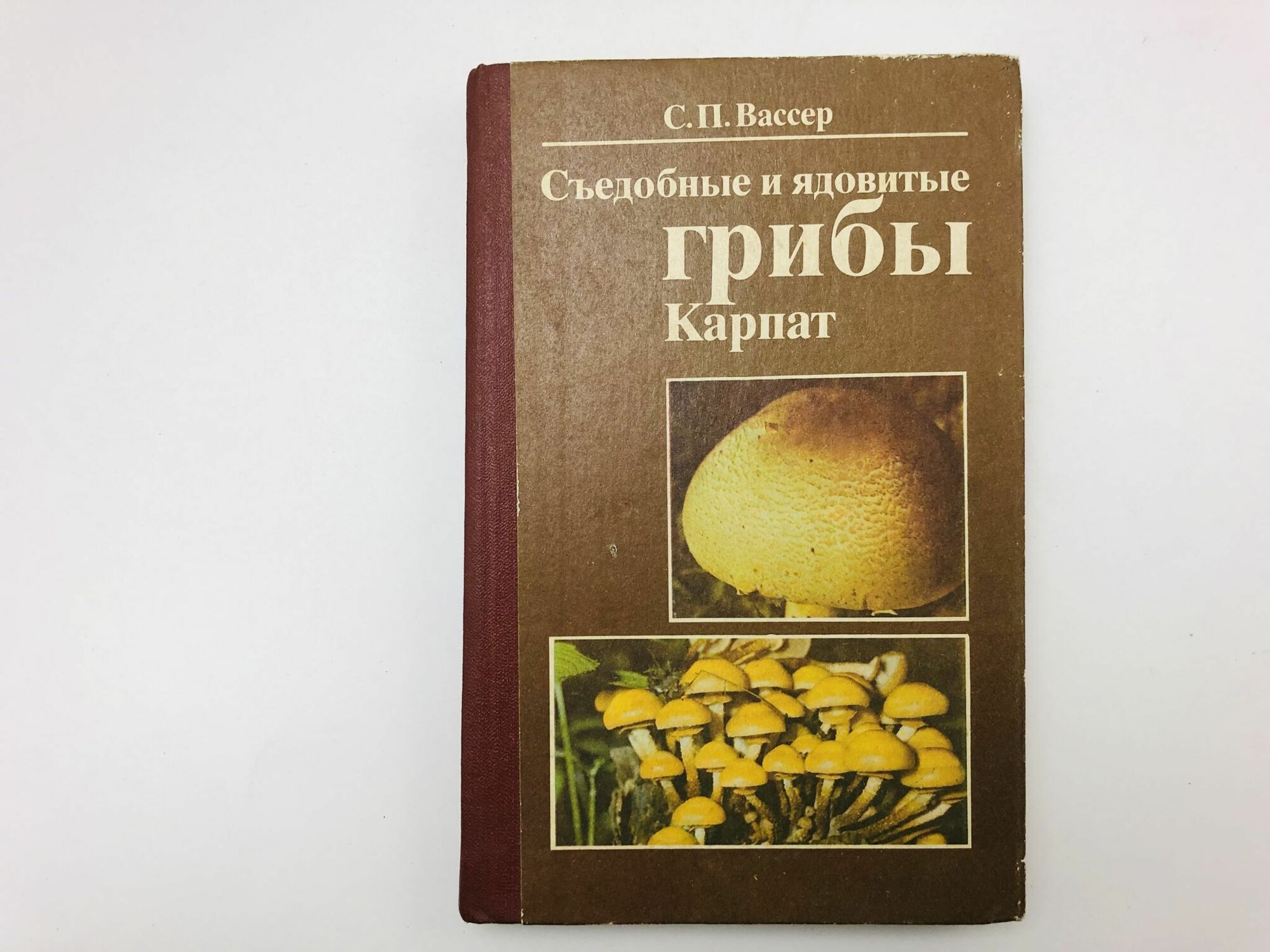 Съедобные и ядовитые грибы Карпат. Справочник